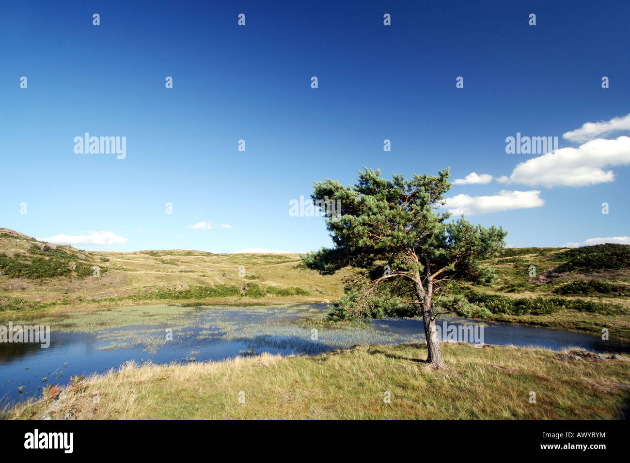Torver common lake district hi-res stock photography and images - Alamy
