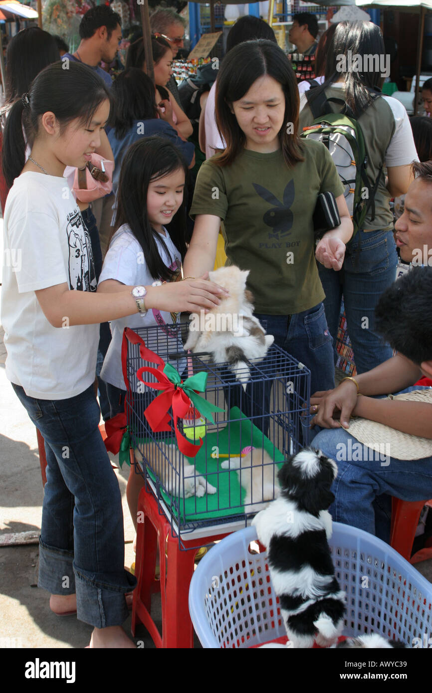Pet Section Chatuchak Market Bangkok Thailand Stock Photo - Alamy