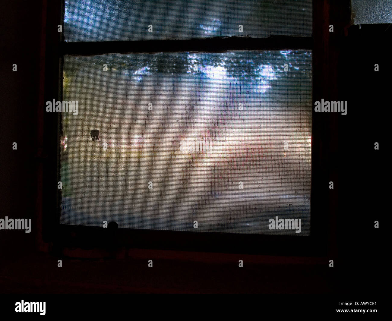 Windows in a home screen in privacy for one family Stock Photo - Alamy