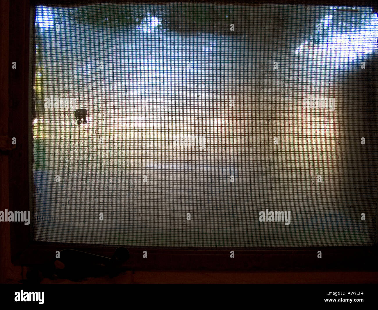 Windows in a home screen in privacy for one family Stock Photo - Alamy