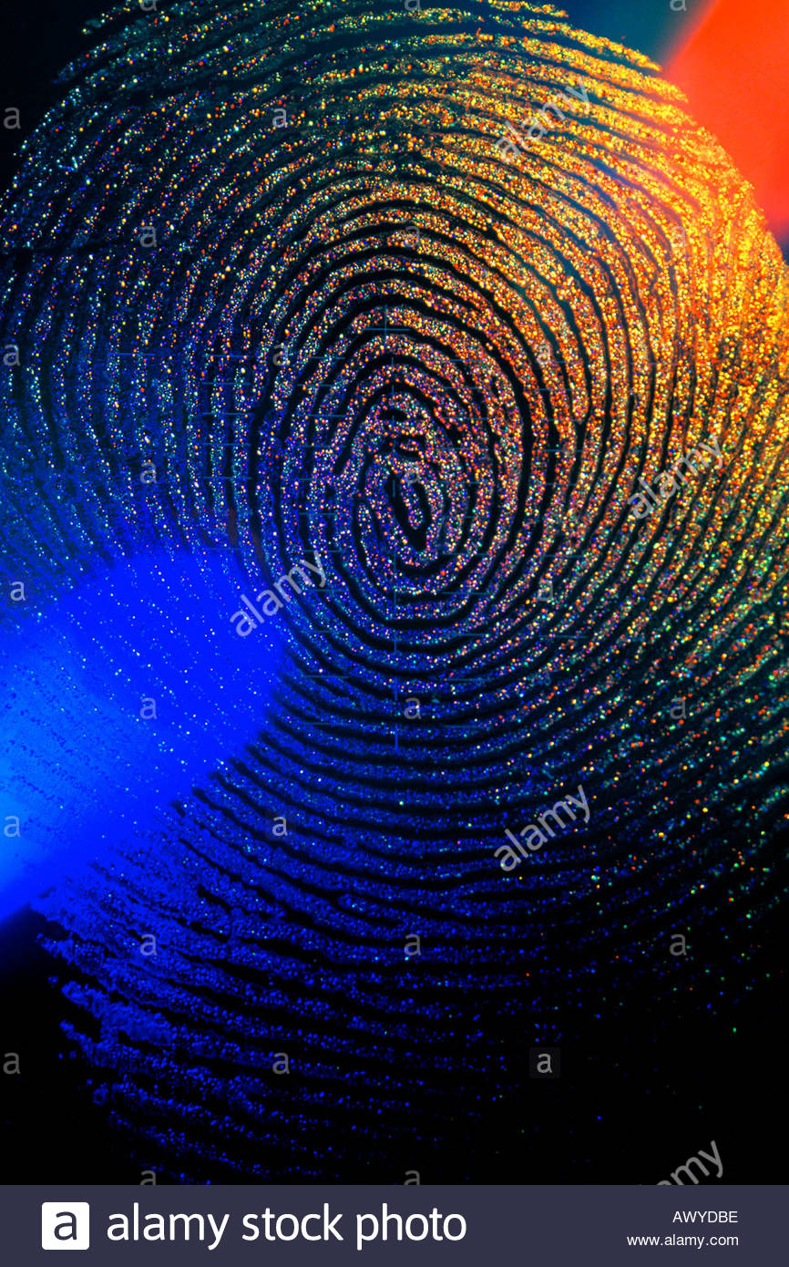 Fingerprint Evidence Stock Photos & Fingerprint Evidence Stock Images ...