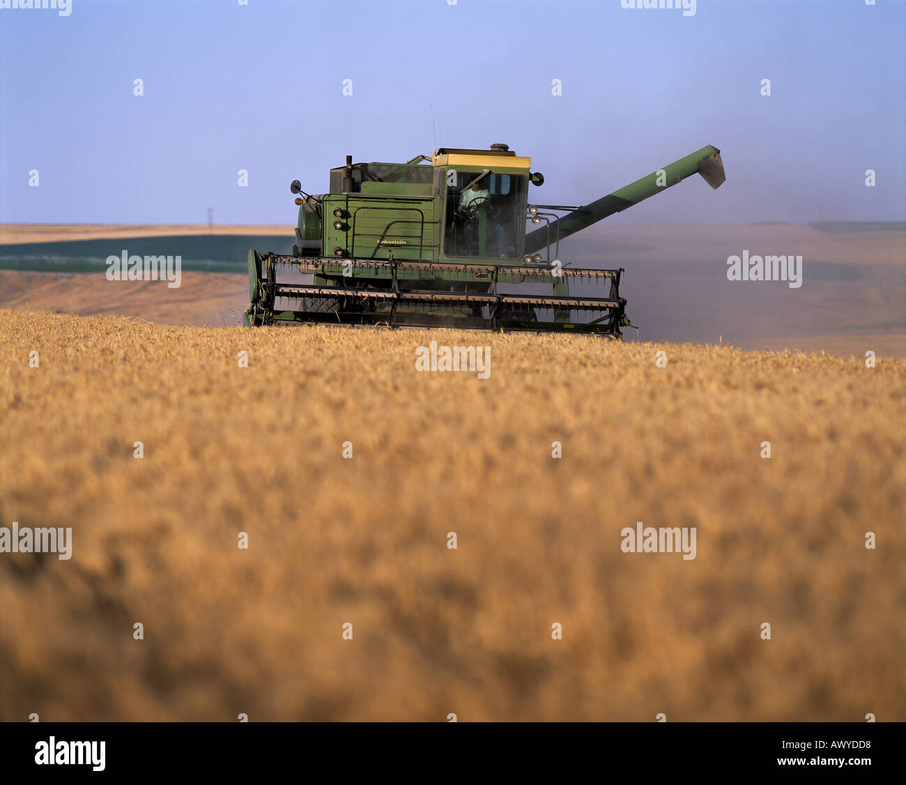 John Deere combine harvesting ripe wheat Washington State USA Stock ...