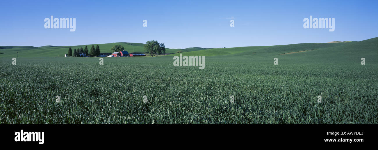 Red Barn Palouse Near Colfax High Resolution Stock Photography and ...