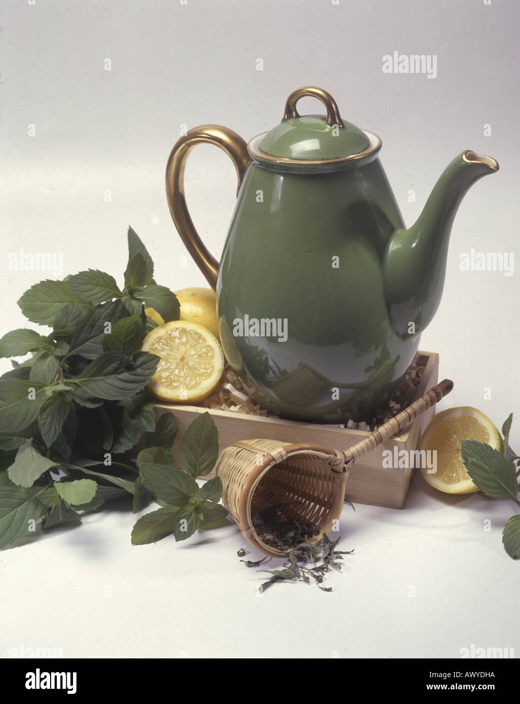 Pennyroyal herb hi-res stock photography and images - Alamy