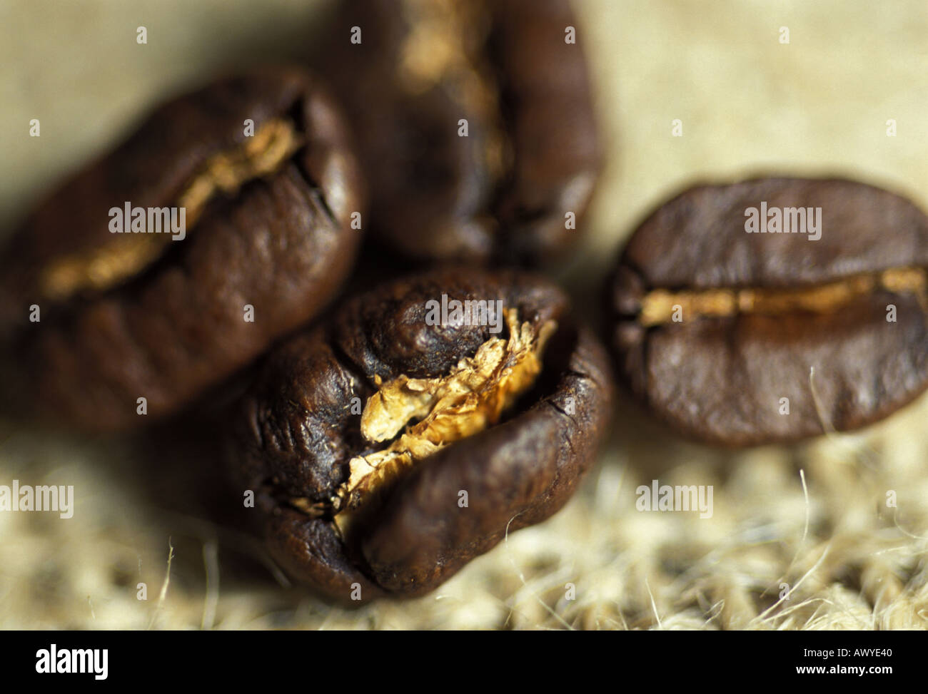Coffee Beans on hessian sacking Stock Photo - Alamy