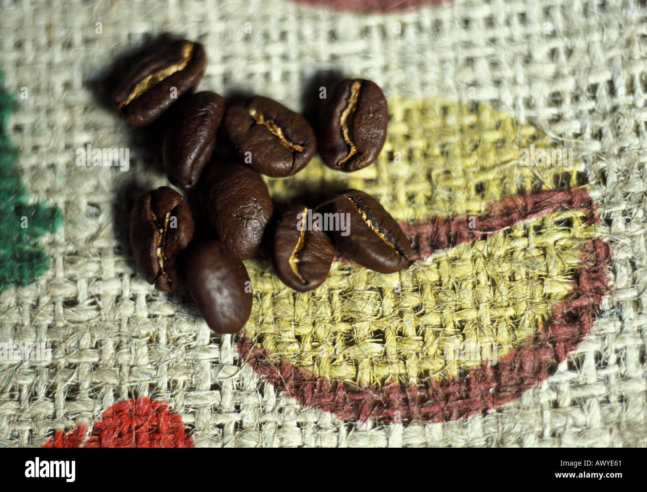 Coffee Bean pictured on a blue hessian background Stock Photo - Alamy
