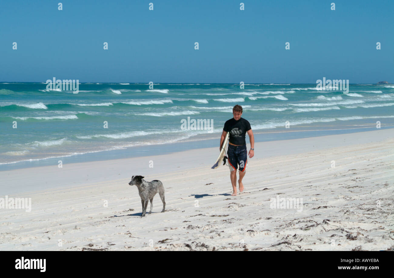 Surfer And Dog Western Australia Stock Photo Alamy surfer-and-dog-western-australia-stock-photo-alamy