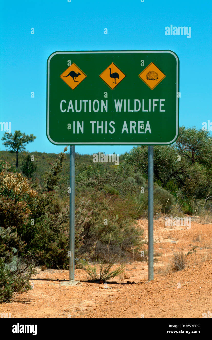 Caution Wildlife sign Western Australia Stock Photo - Alamy
