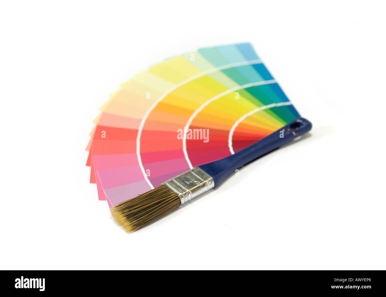 Brush and Paint Samples isolated on white background Stock Photo - Alamy