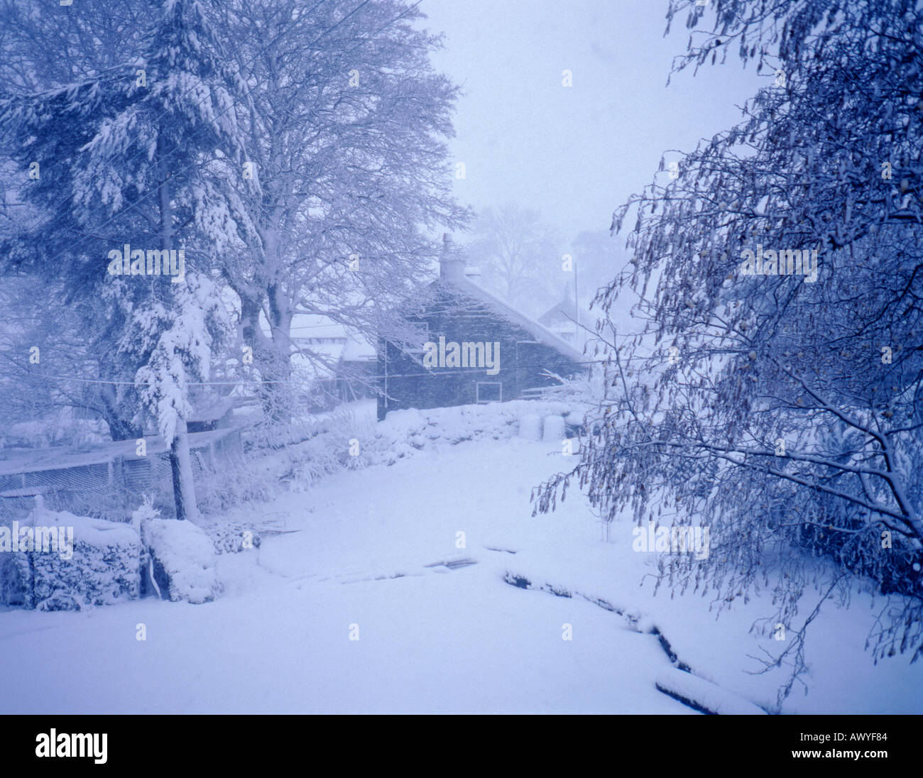 Snow storm, Yarrow, Falstone, Northumberland, England, UK Stock Photo ...