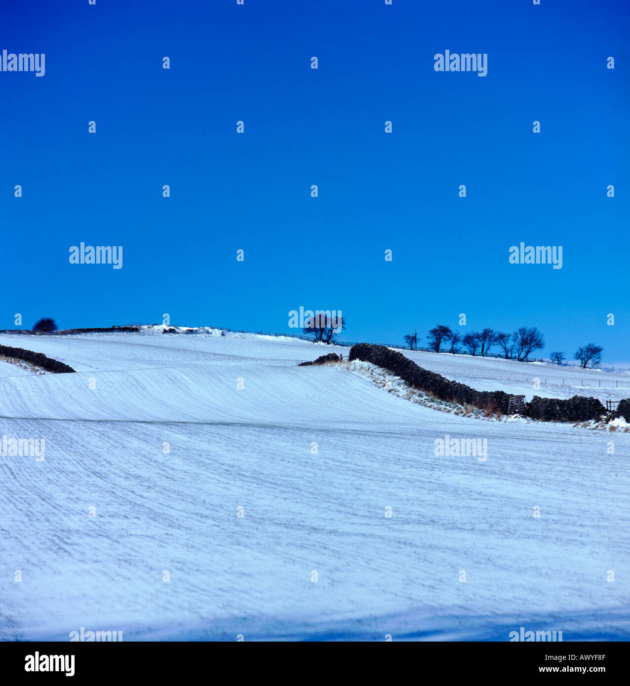 Rolling durham countryside hi-res stock photography and images - Alamy
