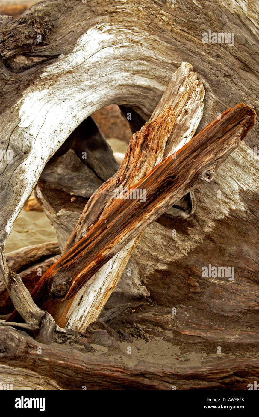 Coloration displays hi-res stock photography and images - Alamy