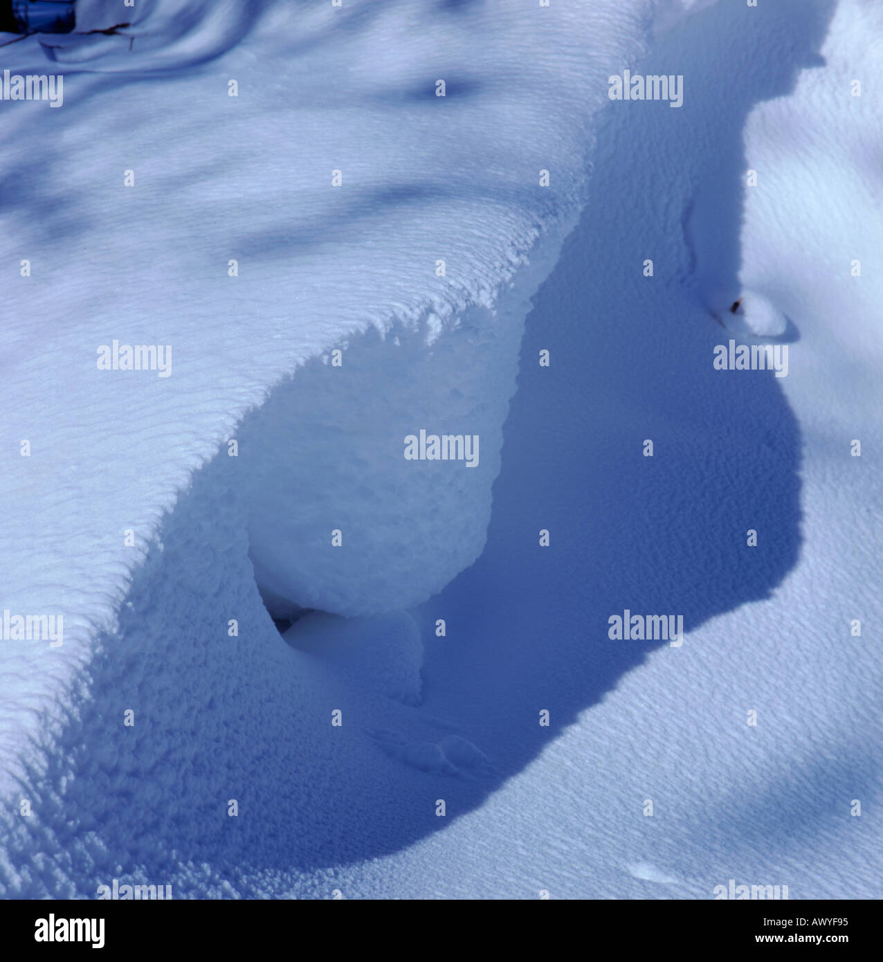 Wind swept snowfall hi-res stock photography and images - Alamy