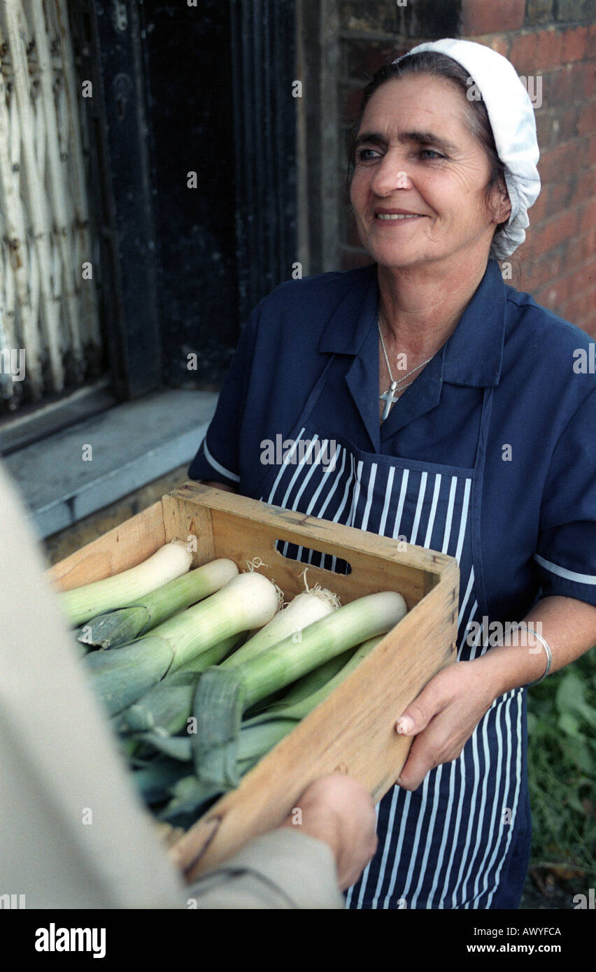 School dinner lady hi-res stock photography and images - Alamy