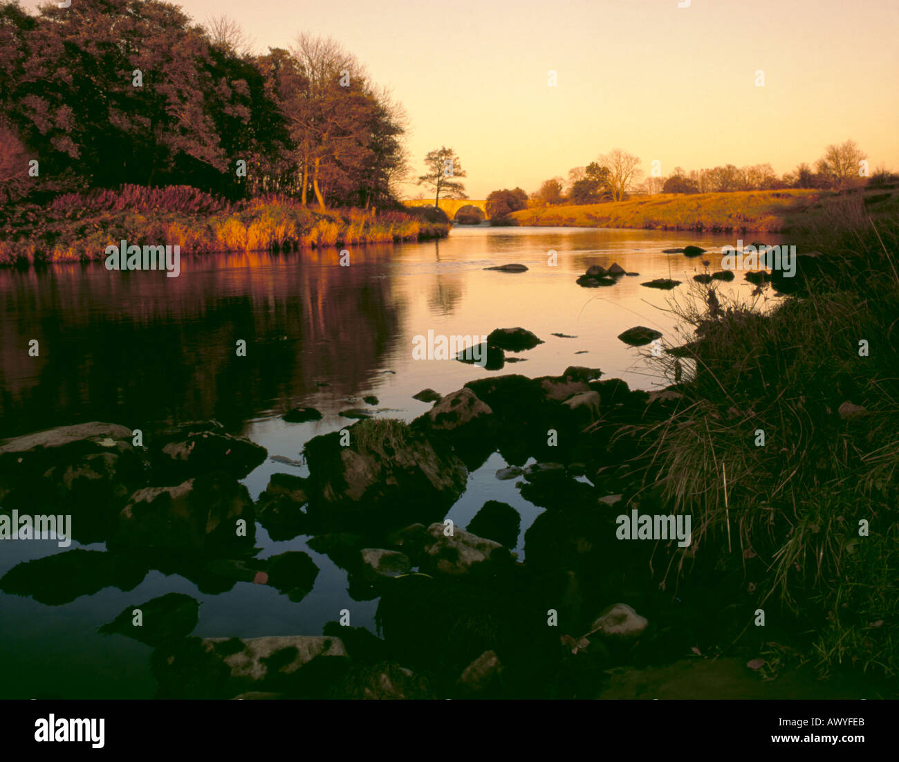 Sunset on the River North Tyne, Chollerford, Northumberland, England ...
