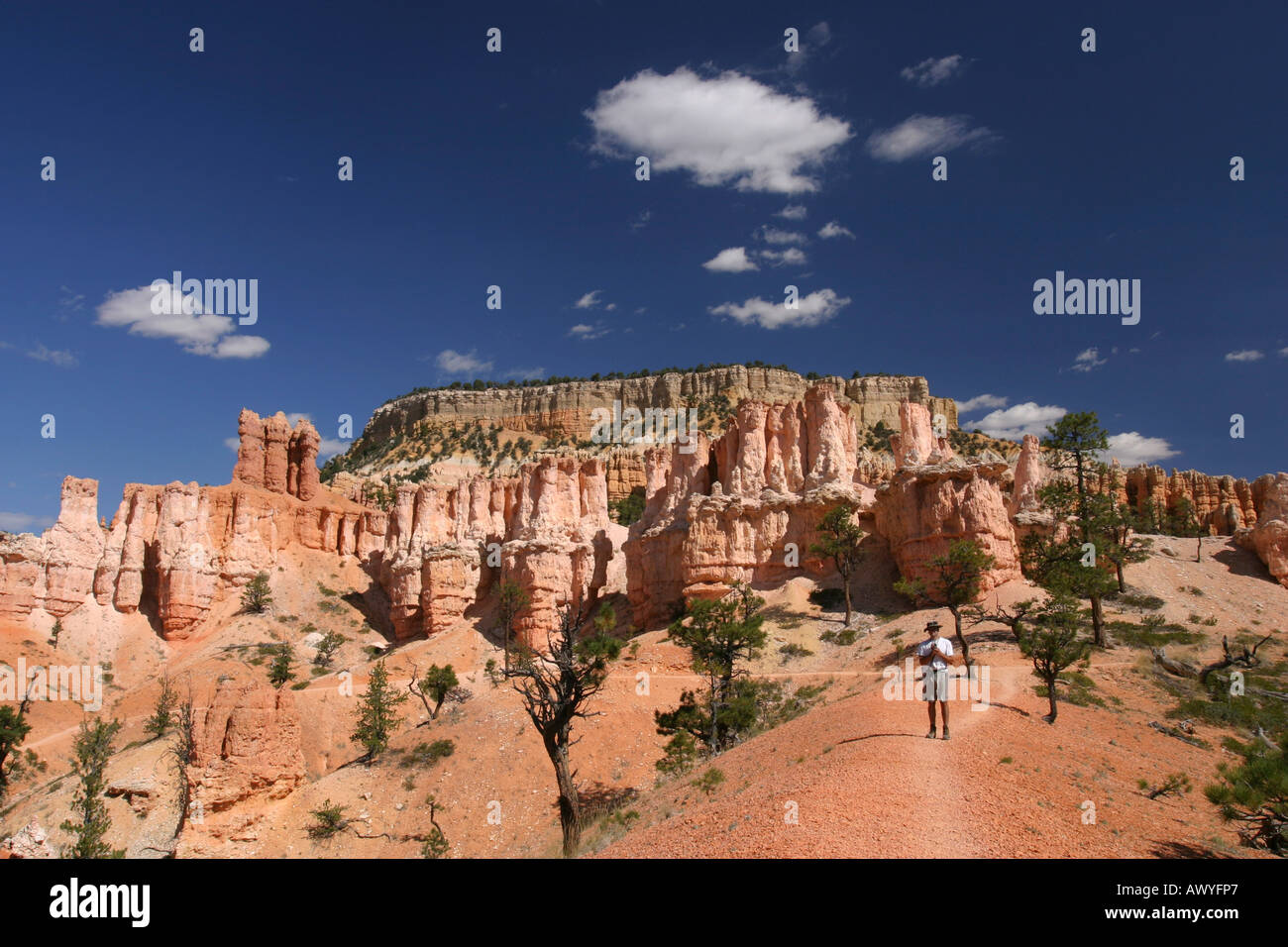 Hiker on Fairyland loop in Bryce Canyon National park, Utah, USA Stock ...