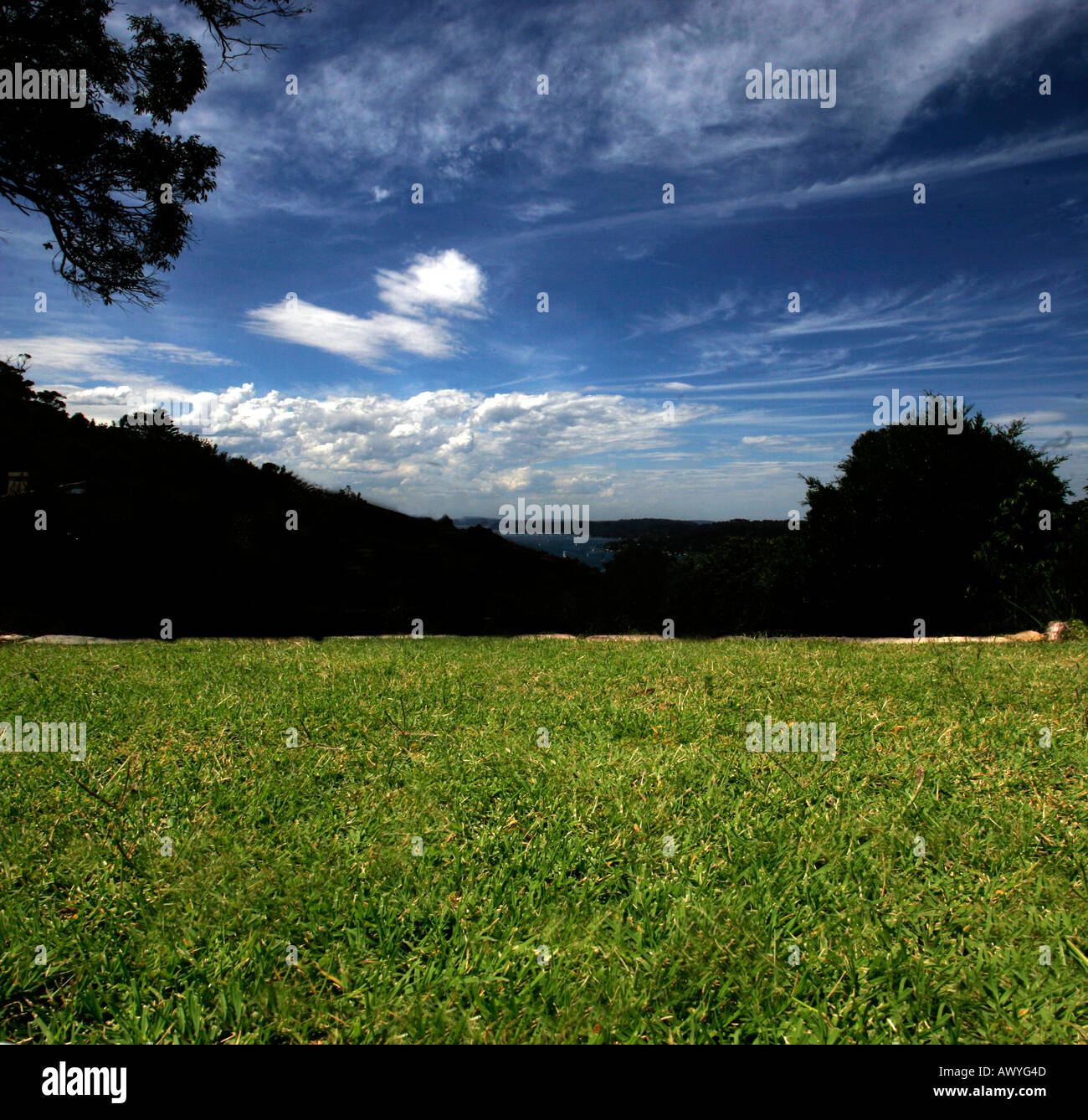 Green grass lawn and blue sky with clouds Stock Photo - Alamy