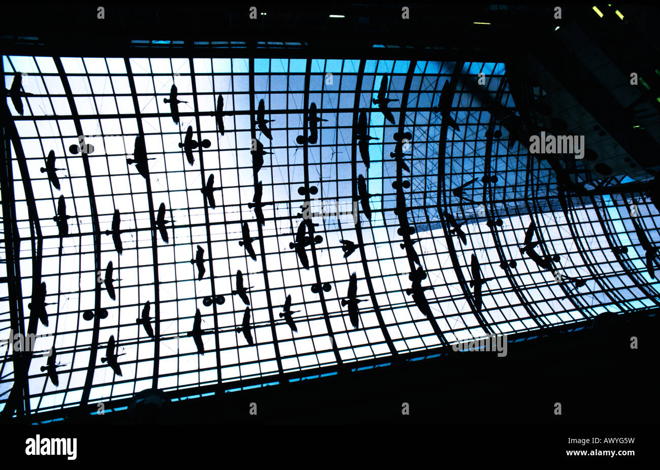 Sculptural display of model birds suspended below glass atrium of ...