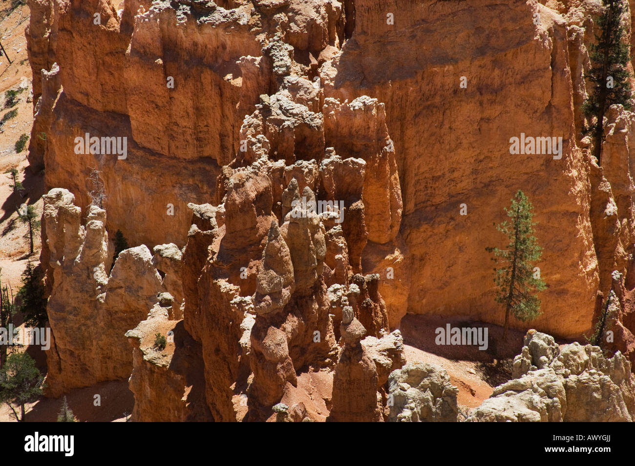 Bryce Canyon from Inspiration Point, Utah Stock Photo - Alamy