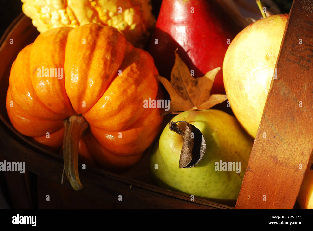 Vintage wooden fruit basket filled with autumn fruits and vegetables ...