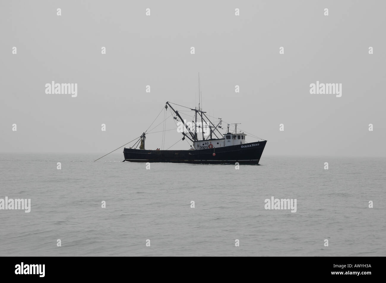 Fishing Vessel Ocean Bird Stock Photo - Alamy