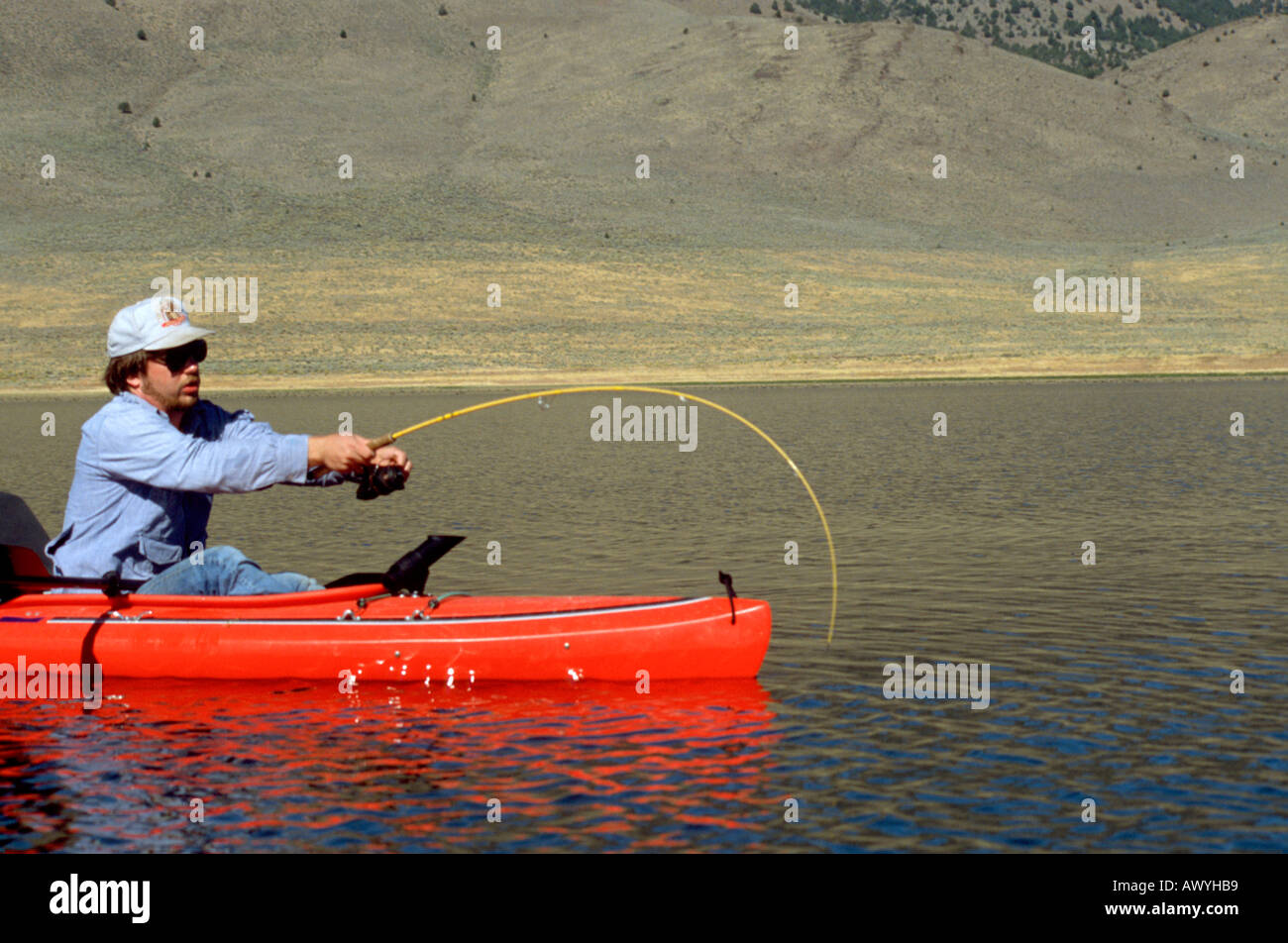 spin fishing man landing fish Lahonton Cutthroat Trout in net ...