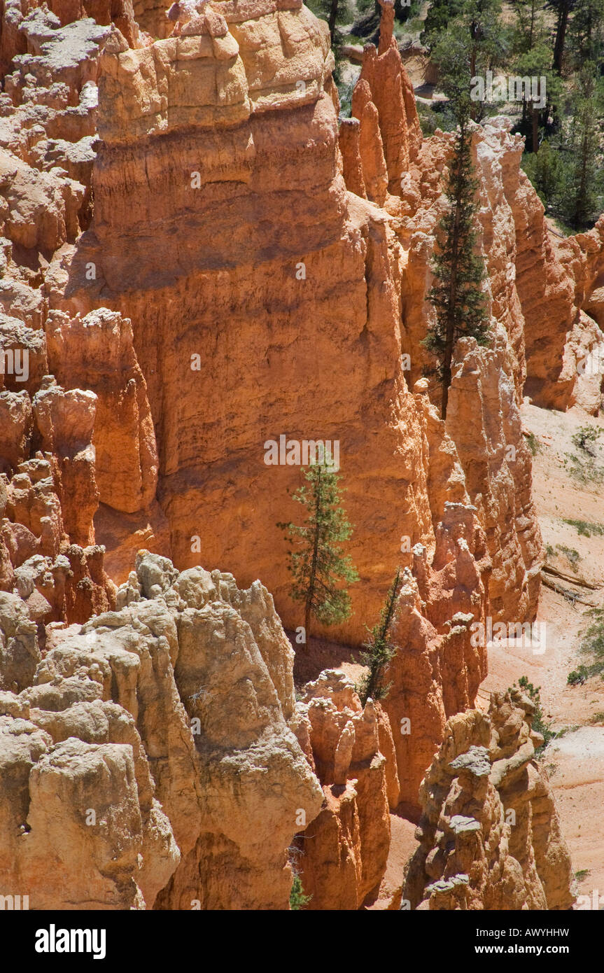 Bryce Canyon from Inspiration Point, Utah Stock Photo - Alamy