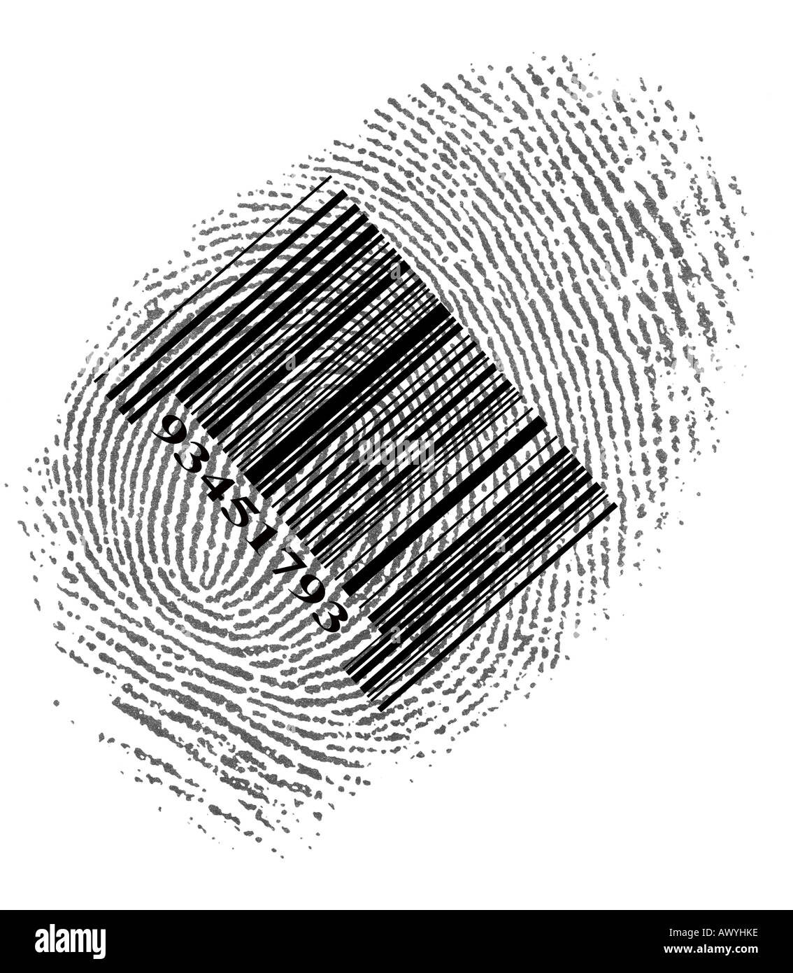 Black and white fingerprint Black and White Stock Photos & Images - Alamy