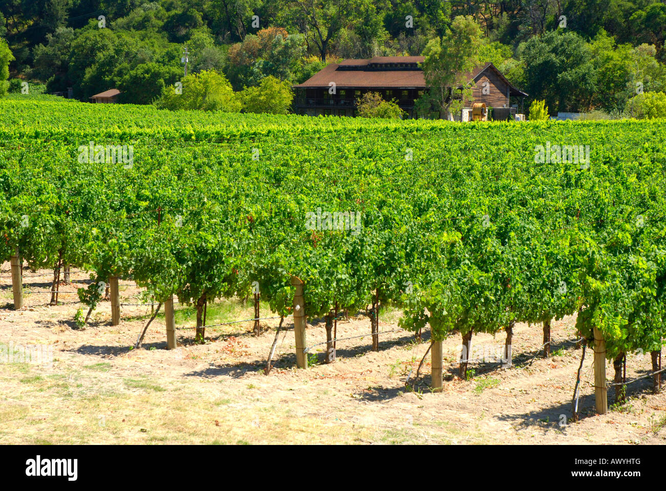 Rustic vineyard and winery located in Napa Valley California Stock ...