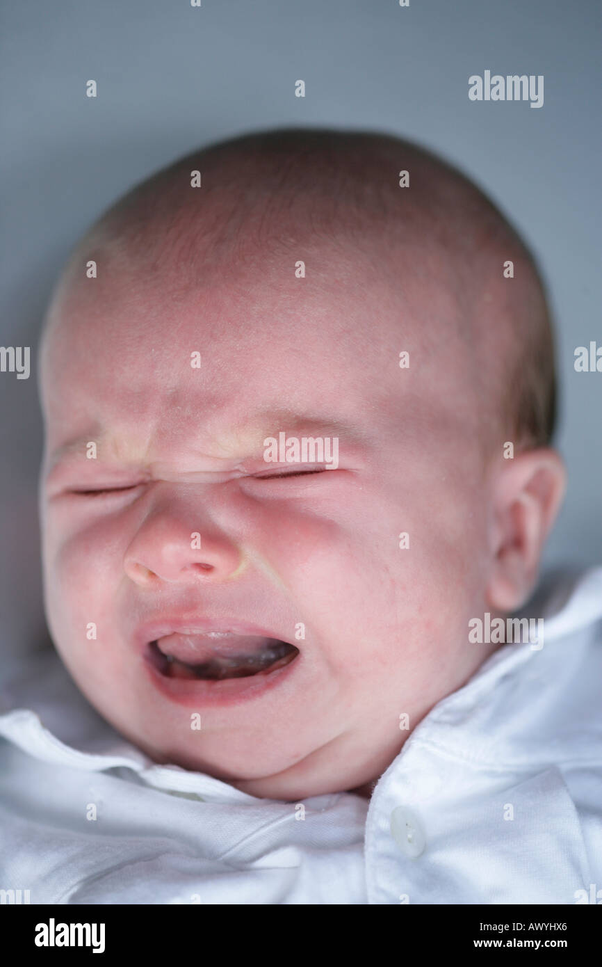 Juvenile howl hi-res stock photography and images - Alamy