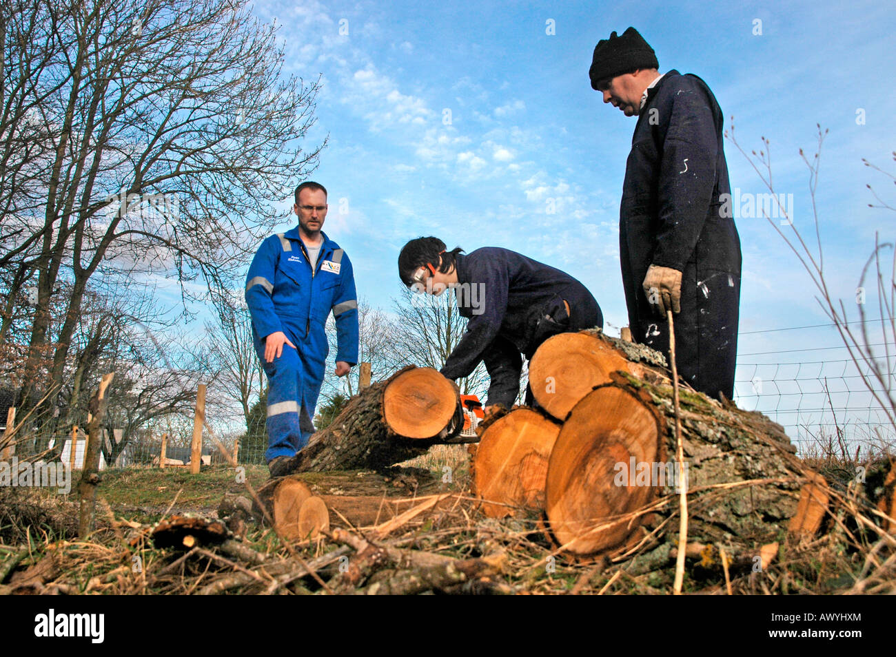 Log sawing process hi-res stock photography and images - Alamy