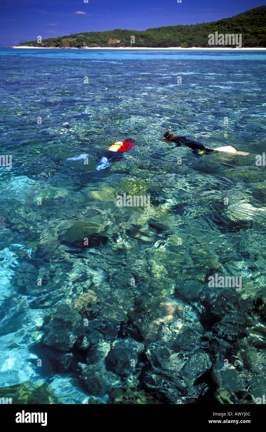 Divers on the surface of coral reef lagoon, Lizard Island, Great ...