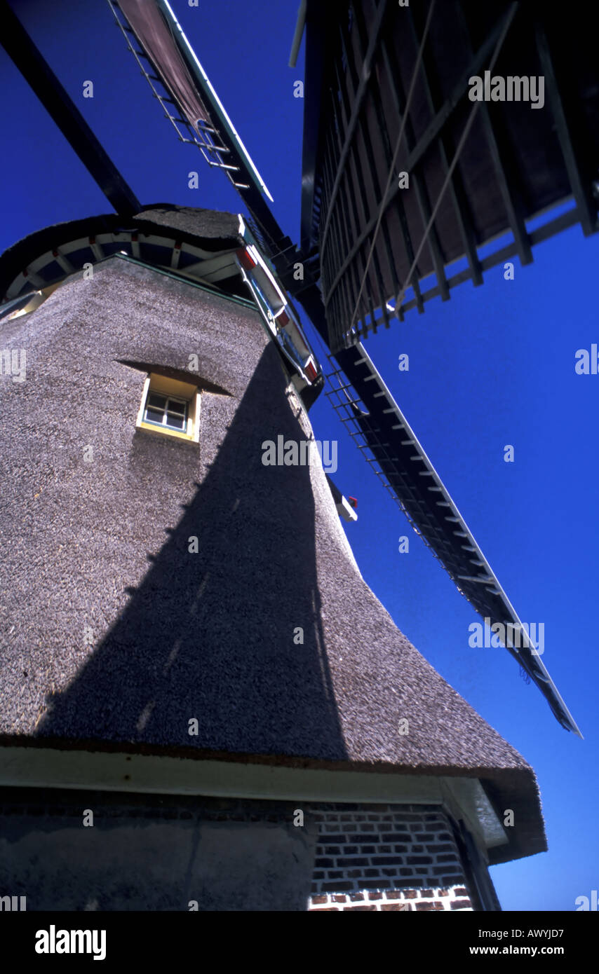 Unusual angle on a traditional style Dutch windmill Stock Photo - Alamy