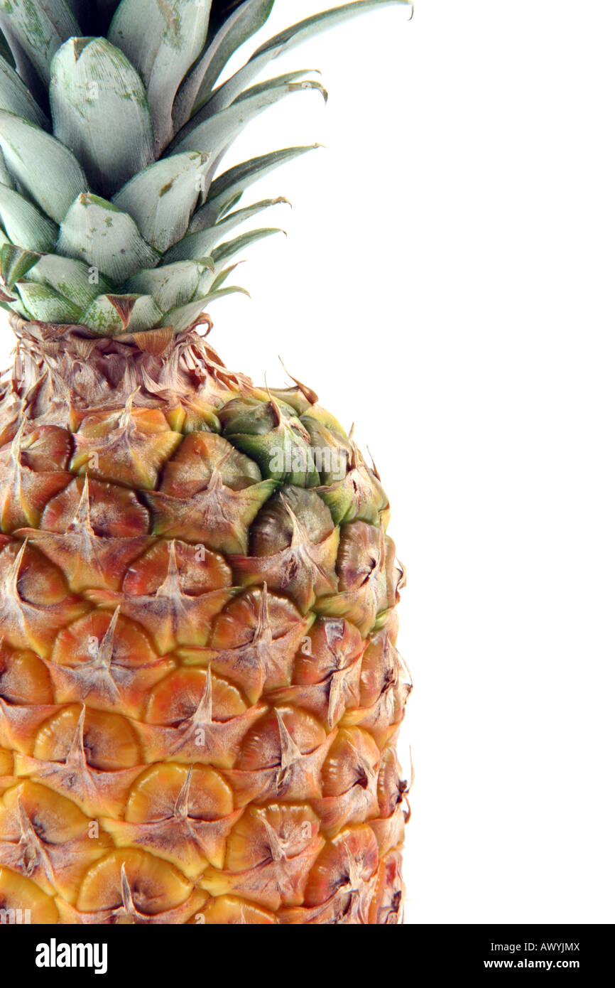 detail of ananas with copy space isolated on white background fruits ...