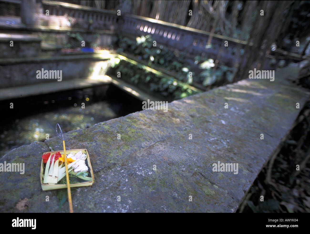 Incense, flowers and rice, a typical Balinese religious offering in the ...