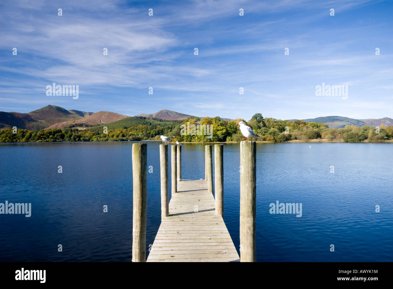 Jetty leading out into derwent water in the lake district hi-res stock ...