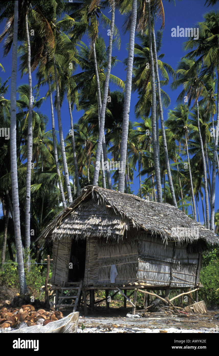 Beach huts among the trees hi-res stock photography and images - Alamy