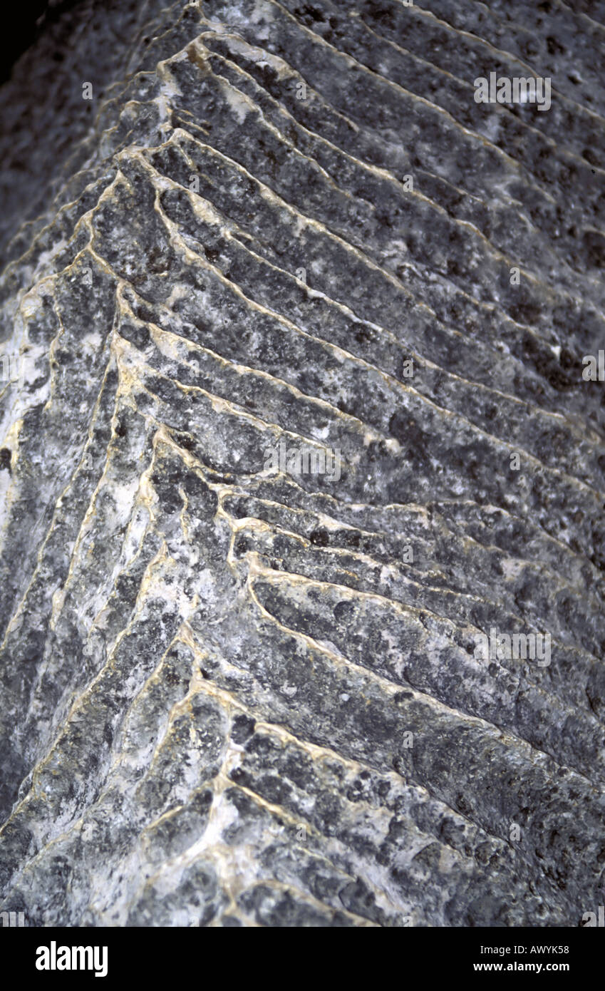 Limestone acid rain hi-res stock photography and images - Alamy