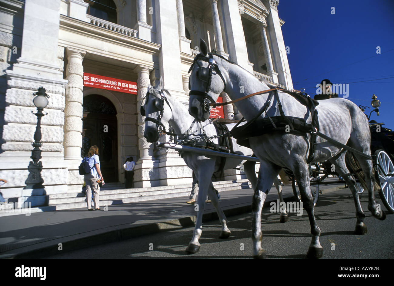 Fiacre or fiaker a horse drawn carriage used to transport tourists ...