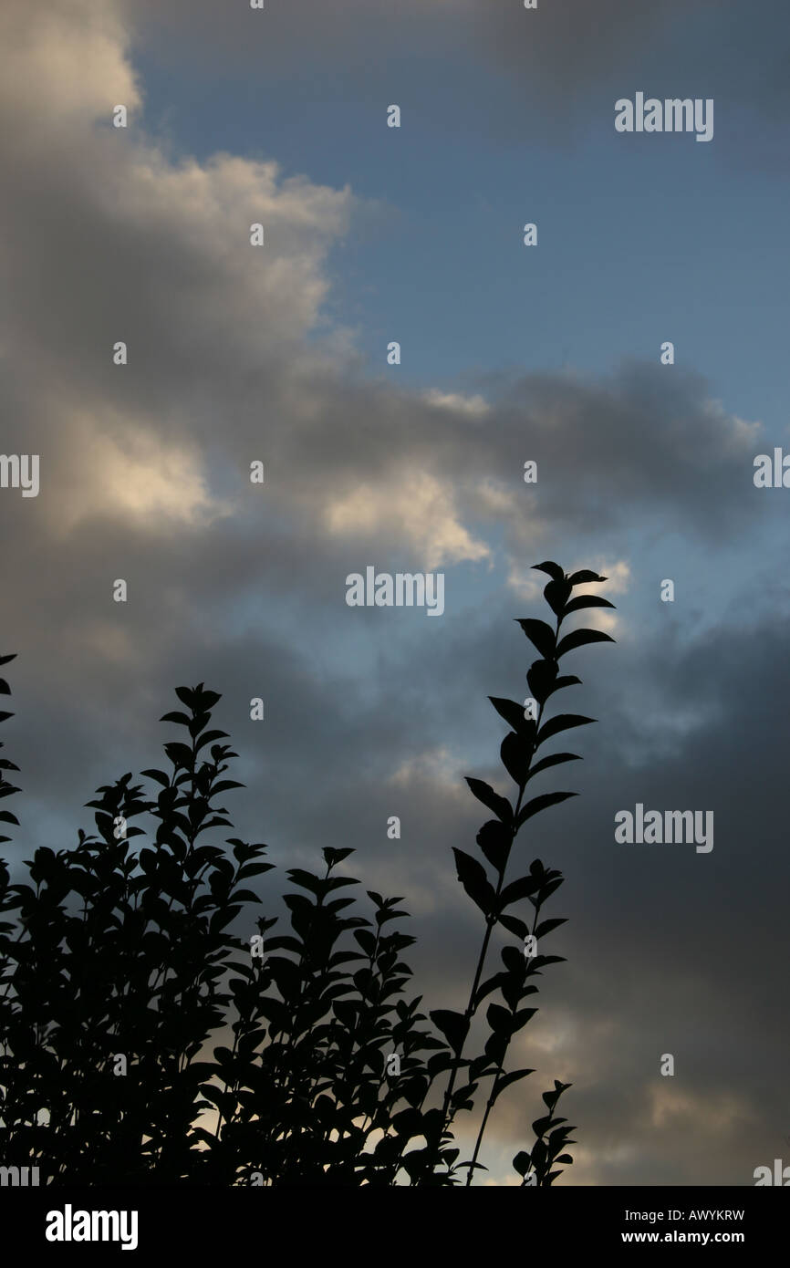 Brooding clouds hi-res stock photography and images - Alamy