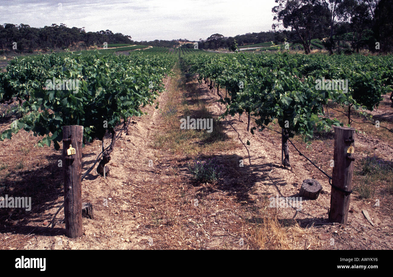 Clare valley hi-res stock photography and images - Alamy