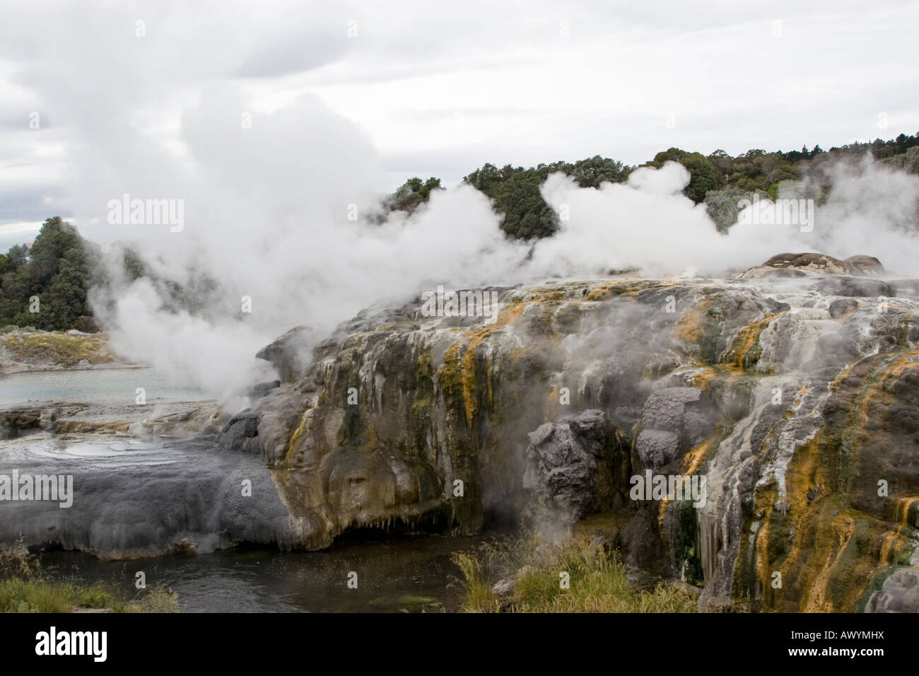 Geothermal Activity - Steam Rising from Ground Stock Photo - Alamy