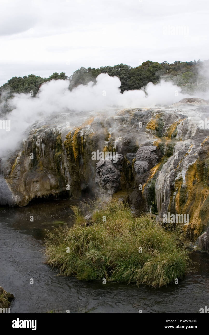 Geothermal Activity - Steam Rising from Ground Stock Photo - Alamy