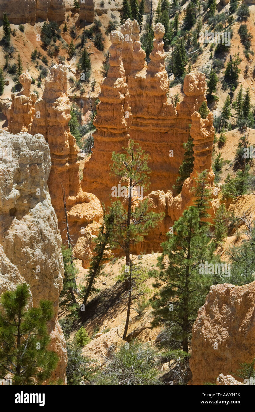Fairyland point bryce canyon hi-res stock photography and images - Alamy