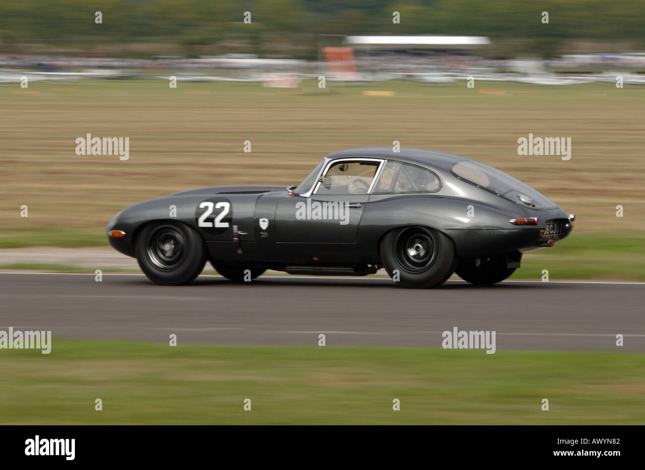 Jaguar E Type racing at the Goodwood Revival Stock Photo - Alamy