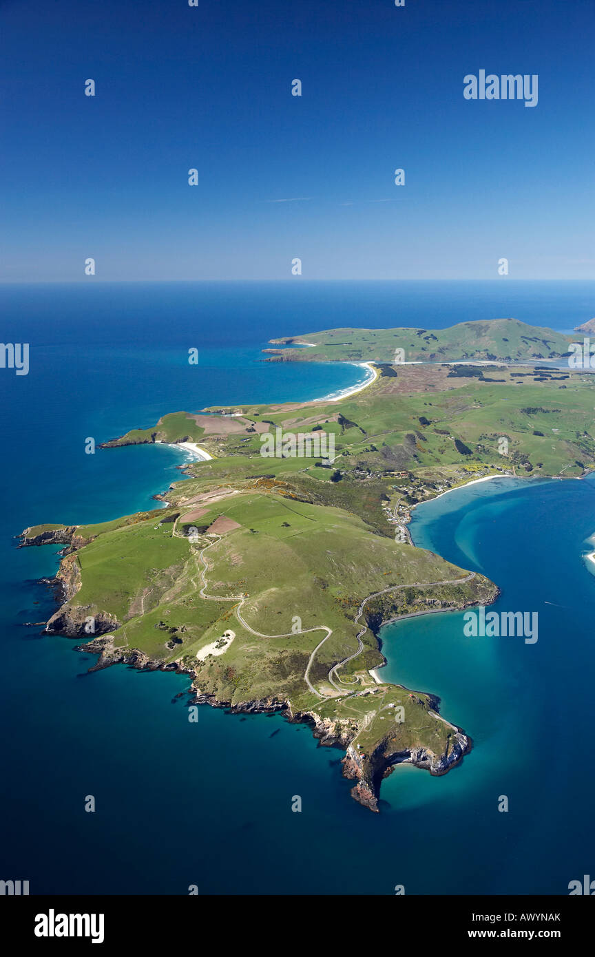 New zealand taiaroa heads hi-res stock photography and images - Alamy