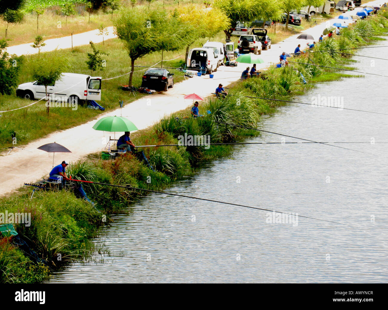 Angling competition at a provincial river Stock Photo - Alamy