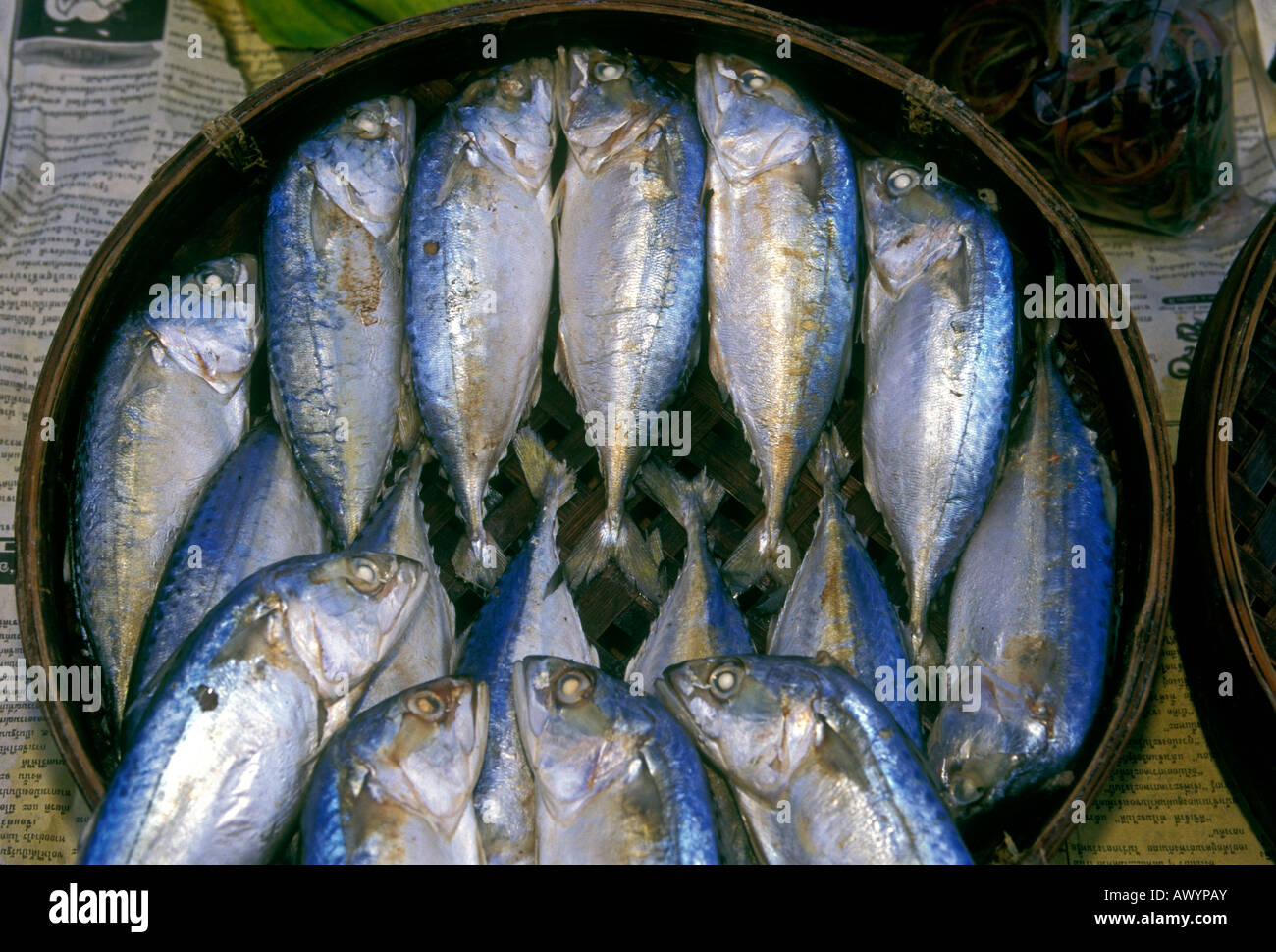 fish vendor, fish vendor selling fresh fish, fresh fish, fish market ...