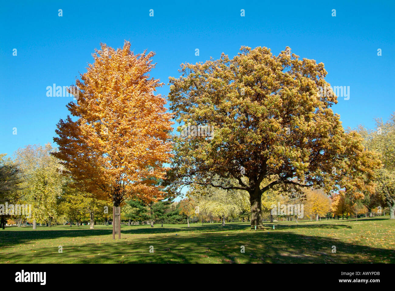 Autumn colors in Southeastern Michigan at Port Huron during fall color ...