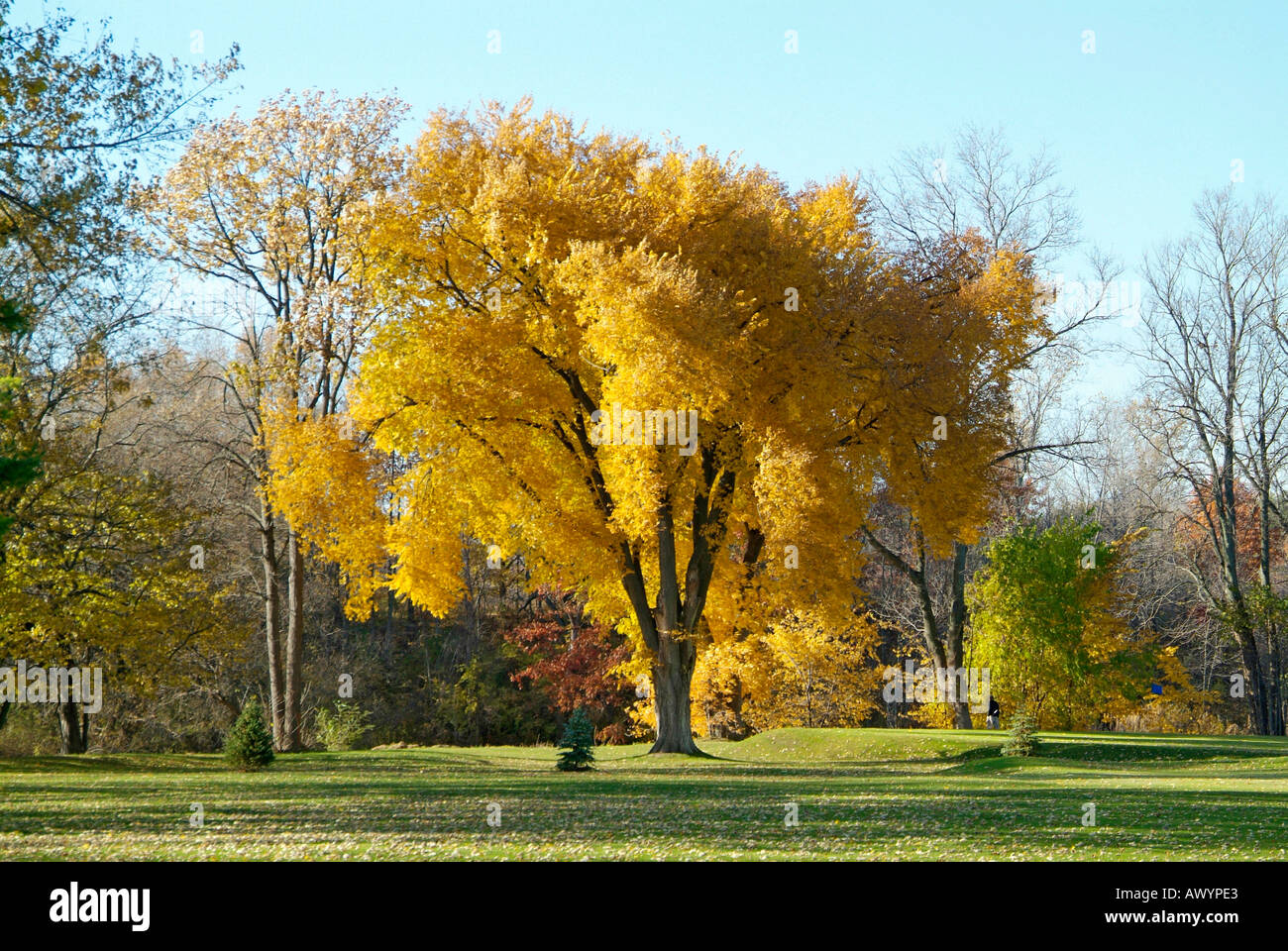 Autumn colors in Southeastern Michigan at Port Huron during fall color ...